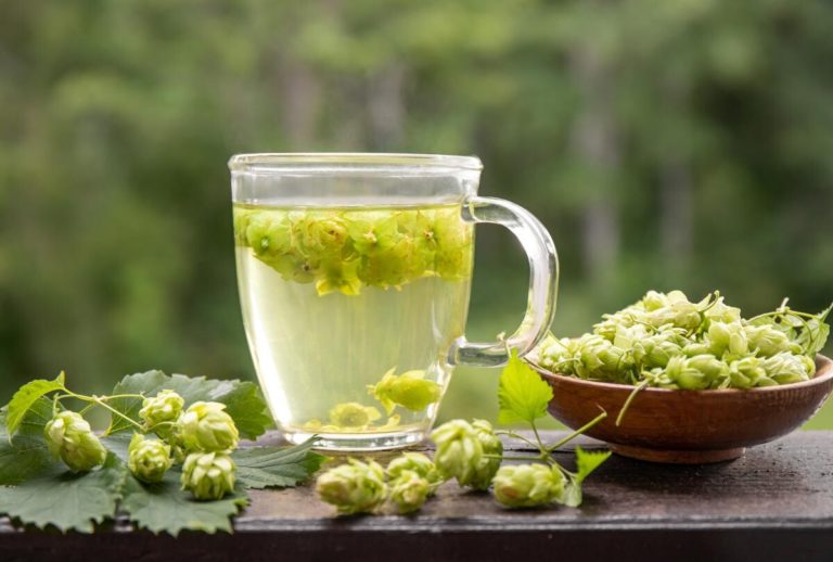 Ceai de roinita . Beneficii și mod de preparare